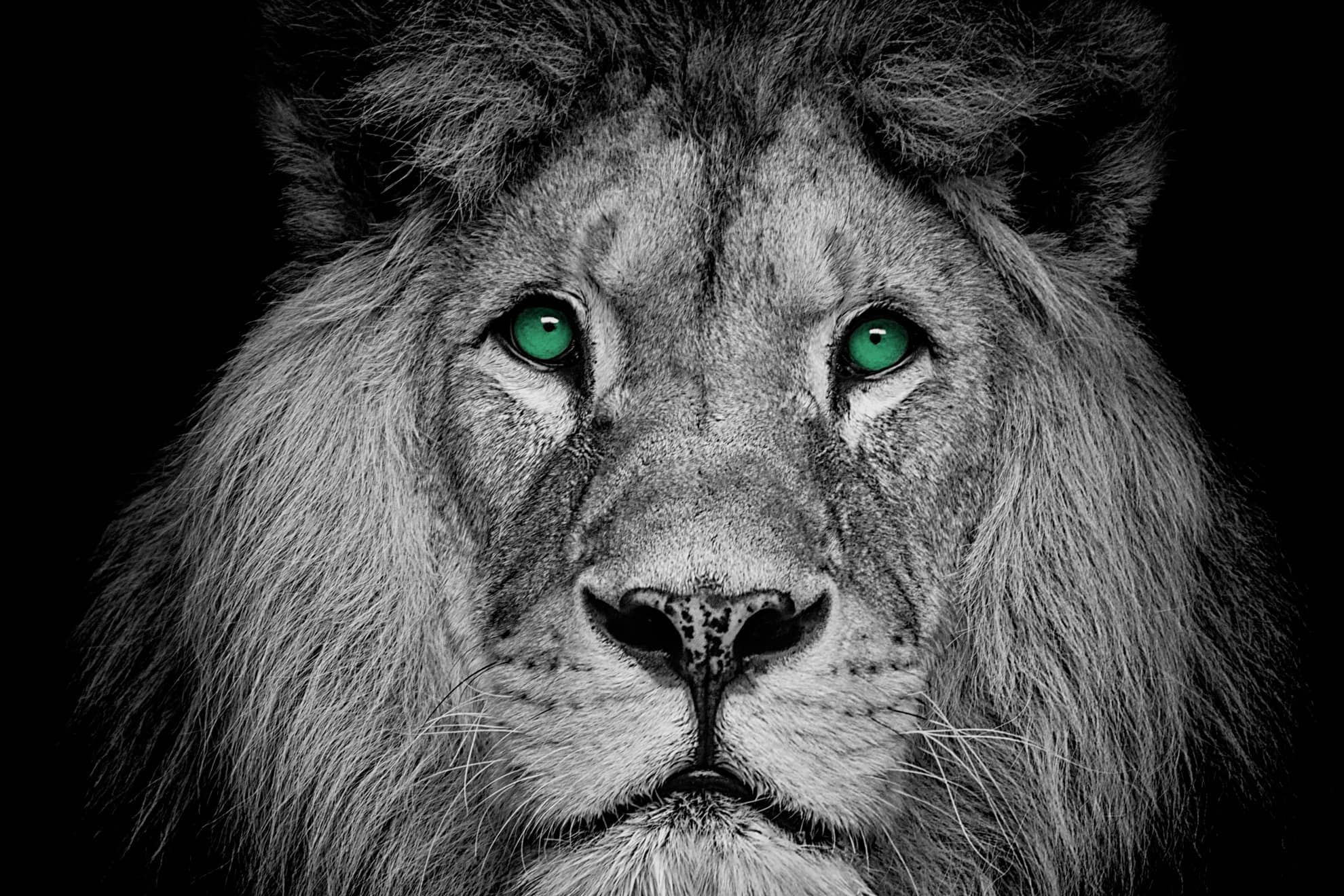 Cursos de Nubika | Cursosypostgrados.com